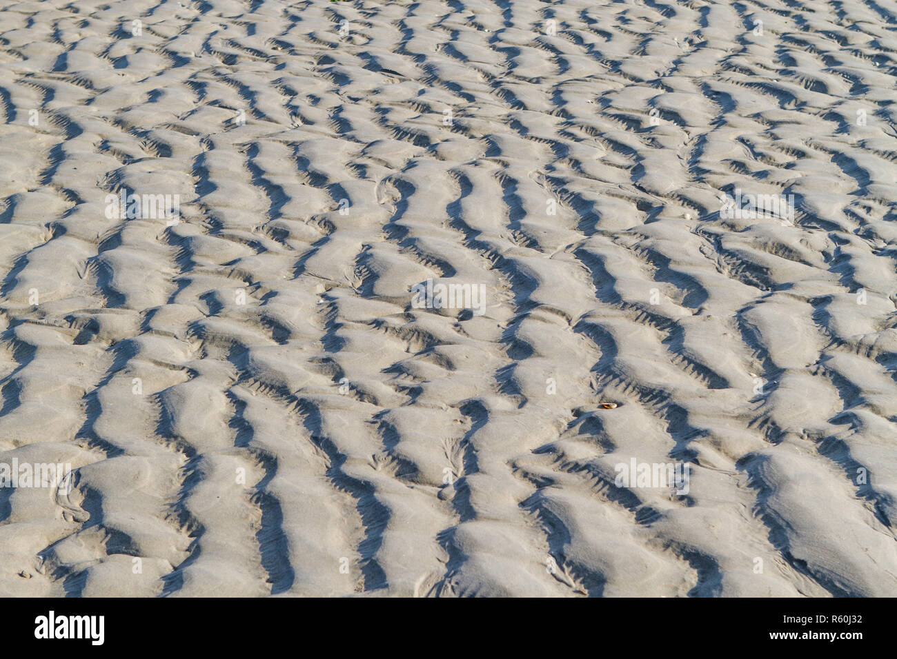 wavy sand pattern on the beach. natural backgrounds and textures Stock ...