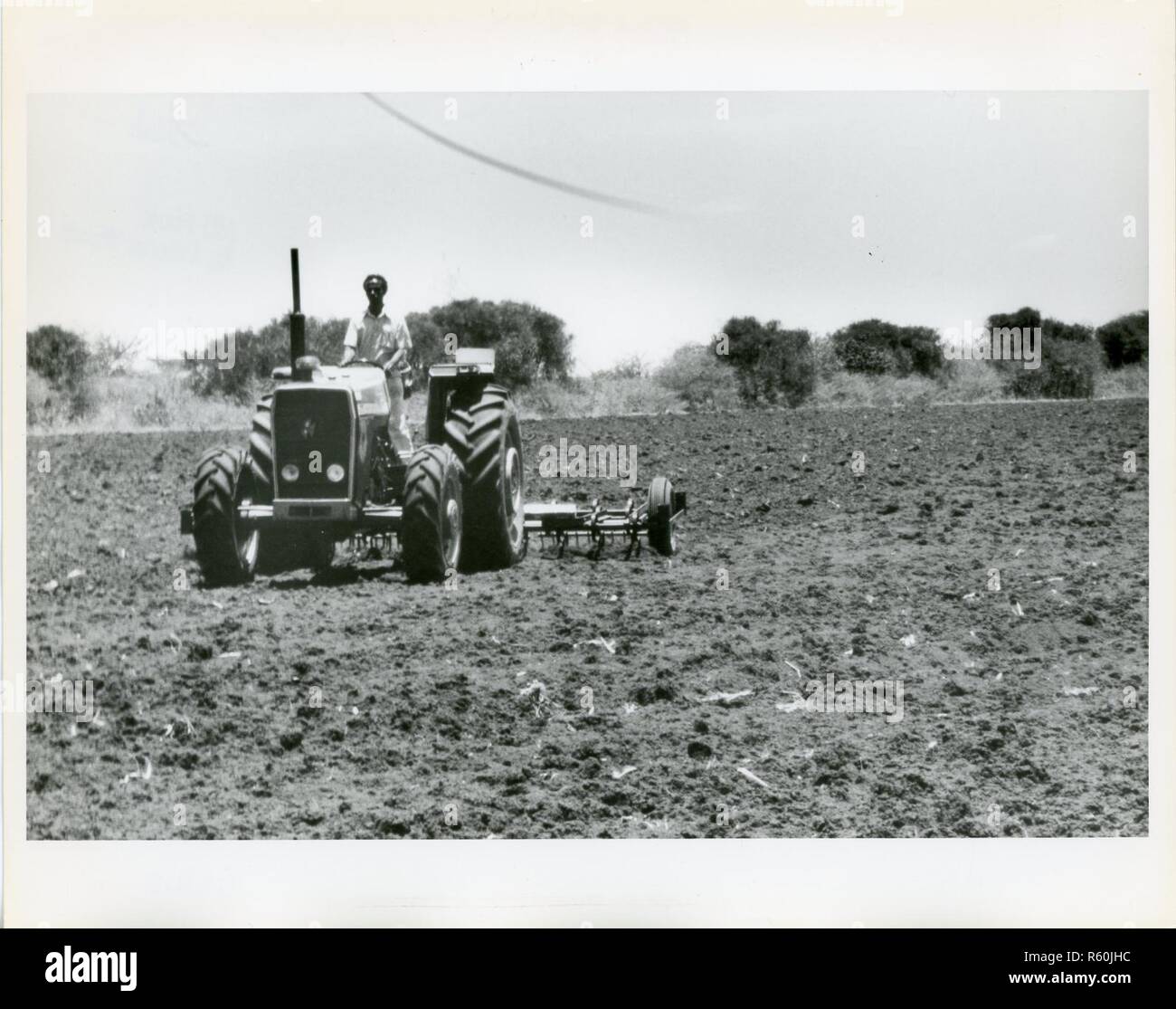 Somalia agriculture hi-res stock photography and images - Alamy