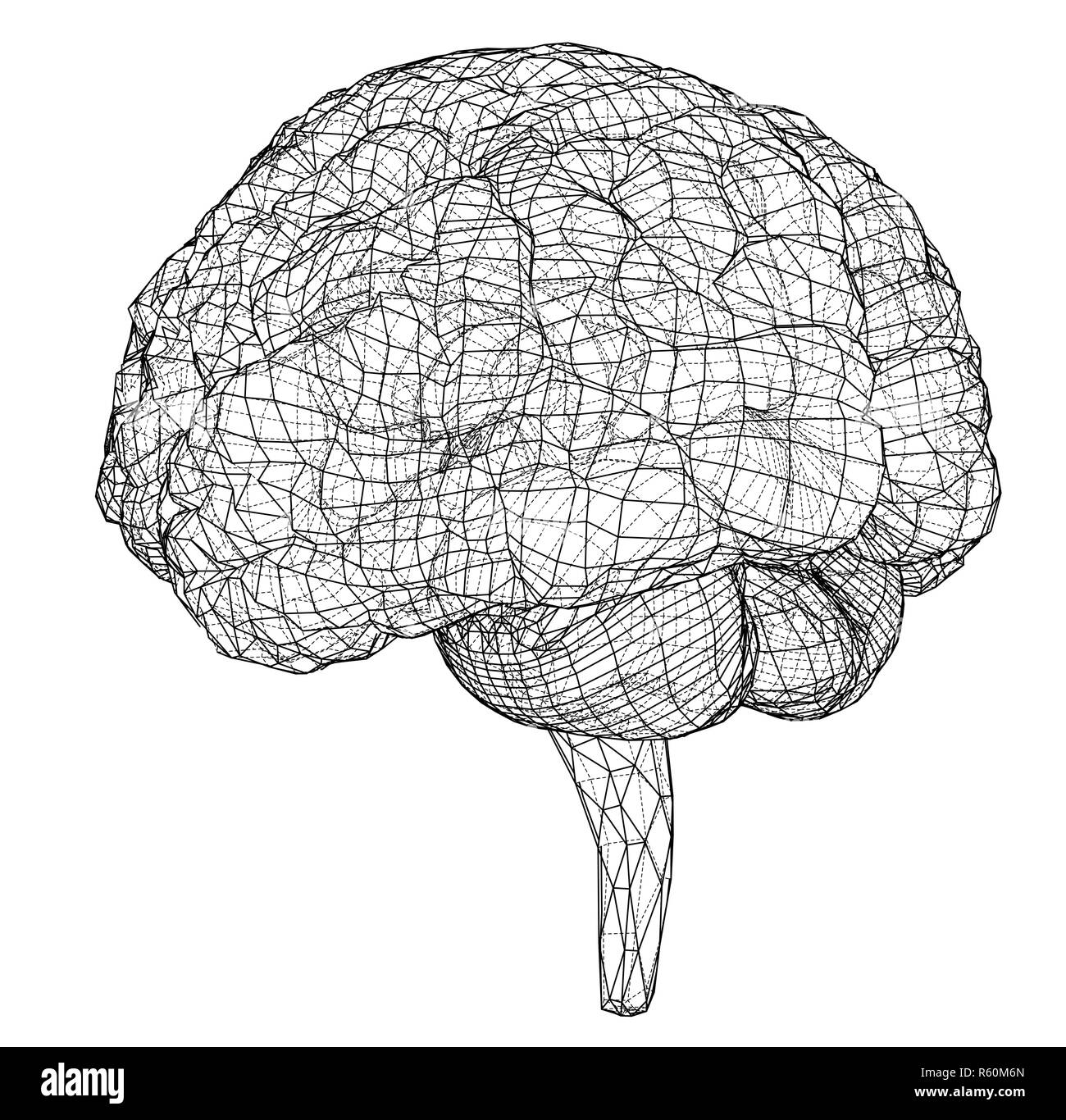 3D outline brain Stock Photo - Alamy