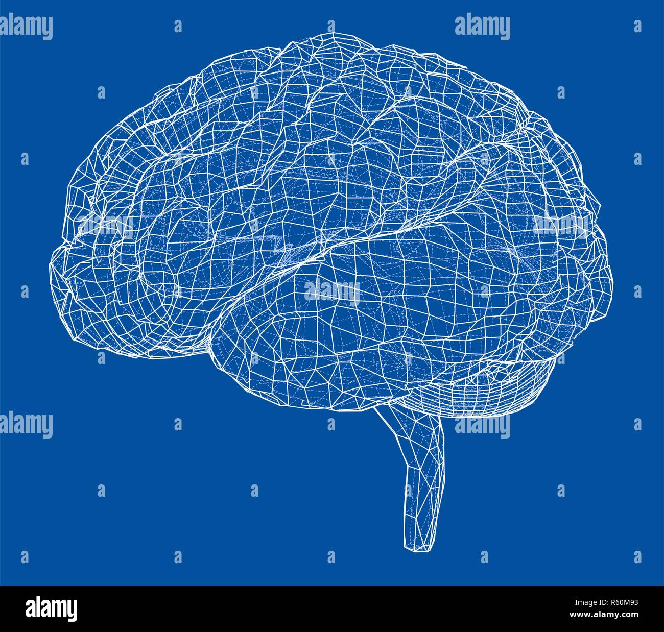 3d brain drawing hi-res stock photography and images - Alamy