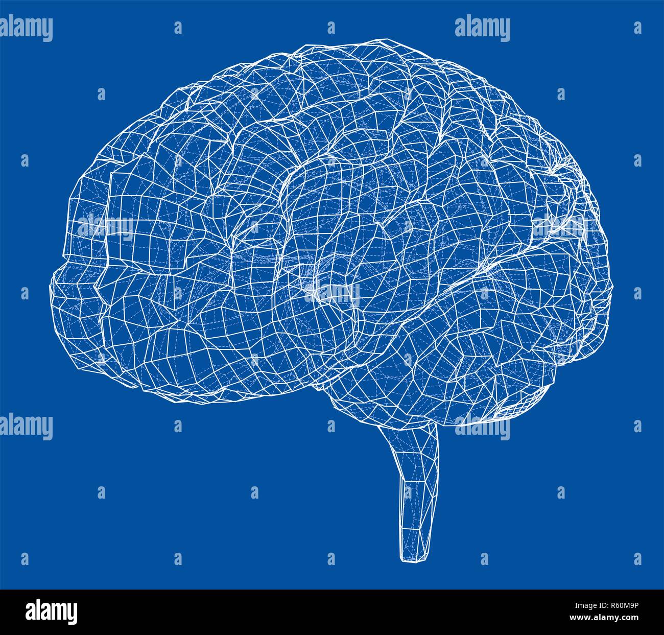 3D outline brain Stock Photo - Alamy