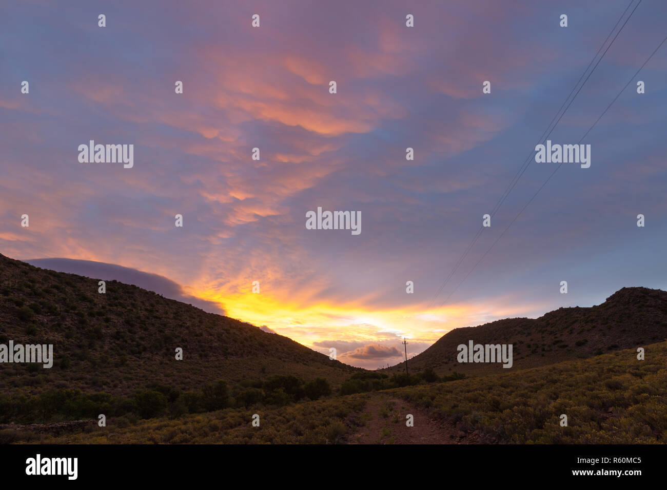 Driefontein hi-res stock photography and images - Alamy