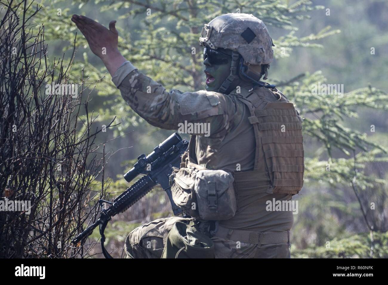 A U.S. Army paratrooper assigned to Scout Platoon, Headquarters and ...