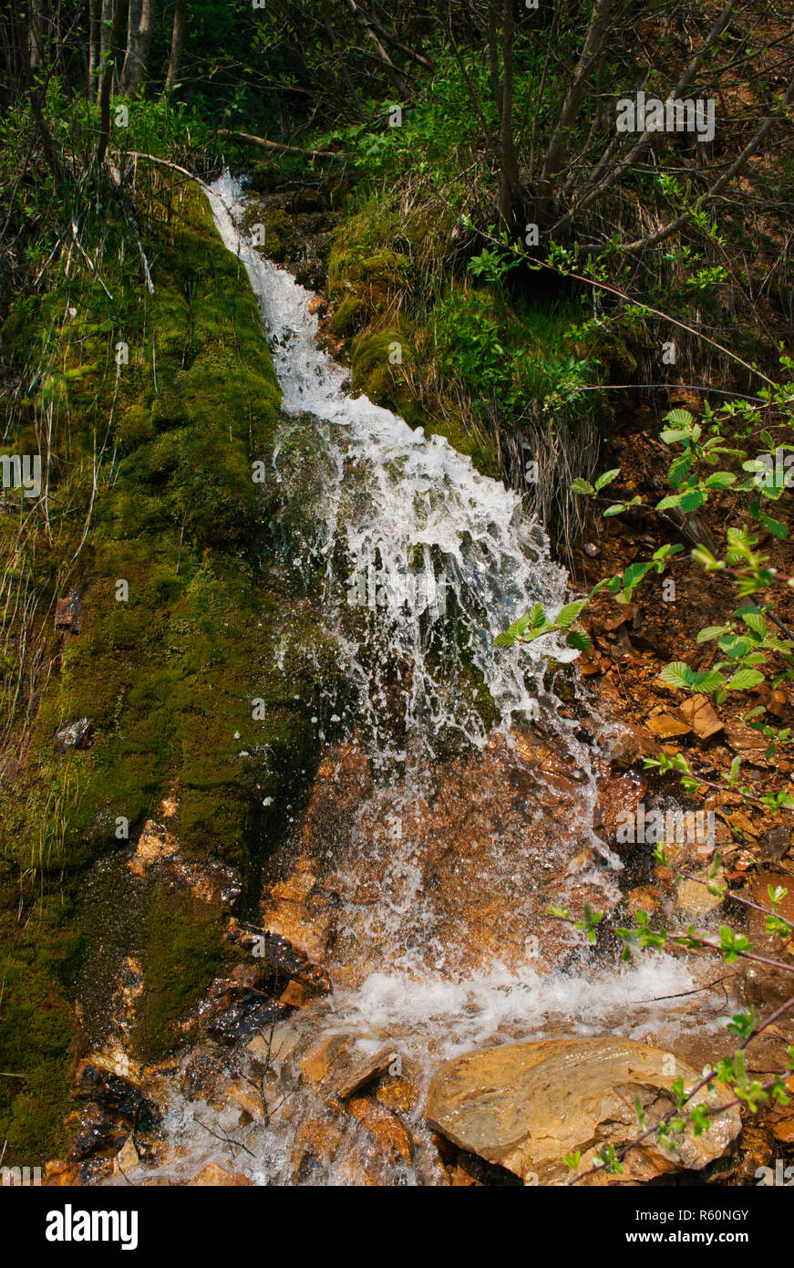 Mountain stream small waterfall water hi-res stock photography and ...