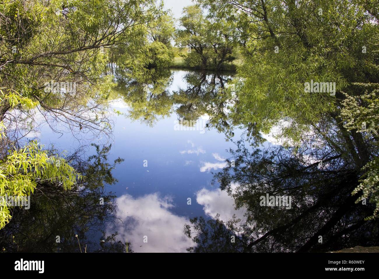 A permanent pond on Travis Air Force Base, Calif., Apr. 20, 2017. A ...