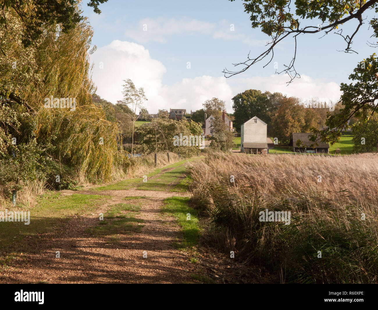beautiful country path walkway trees and reeds to old white mill Stock ...