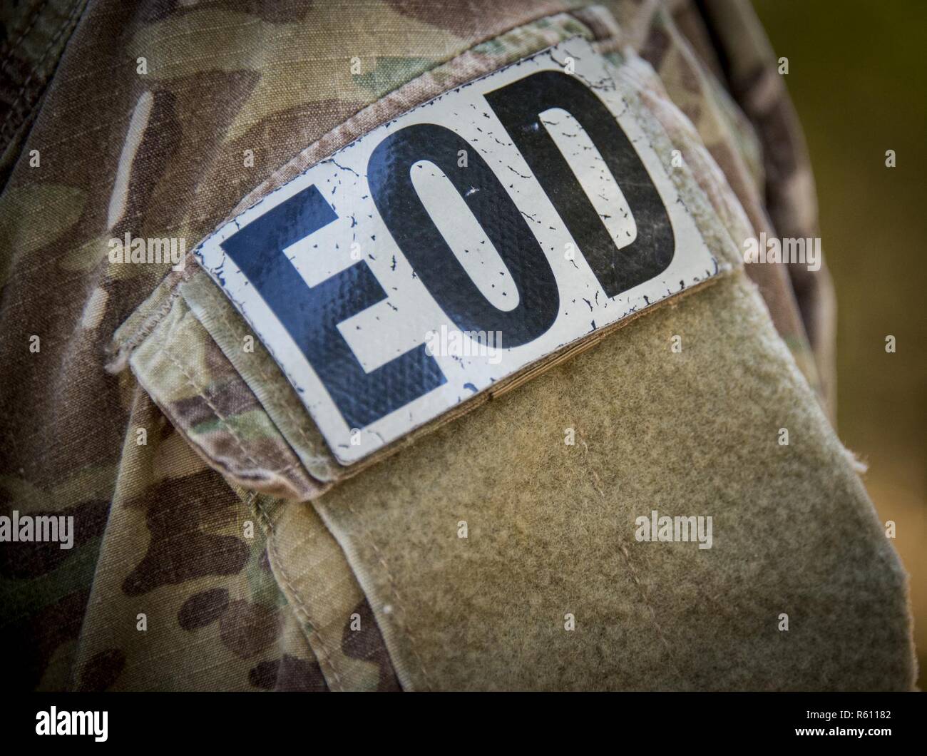 The first week of May is EOD Week for all of the branches of services ...