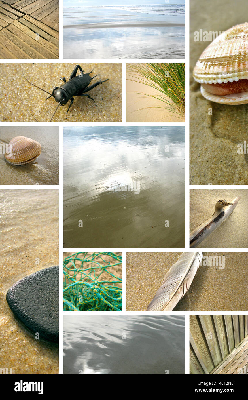 On the beach Stock Photo - Alamy