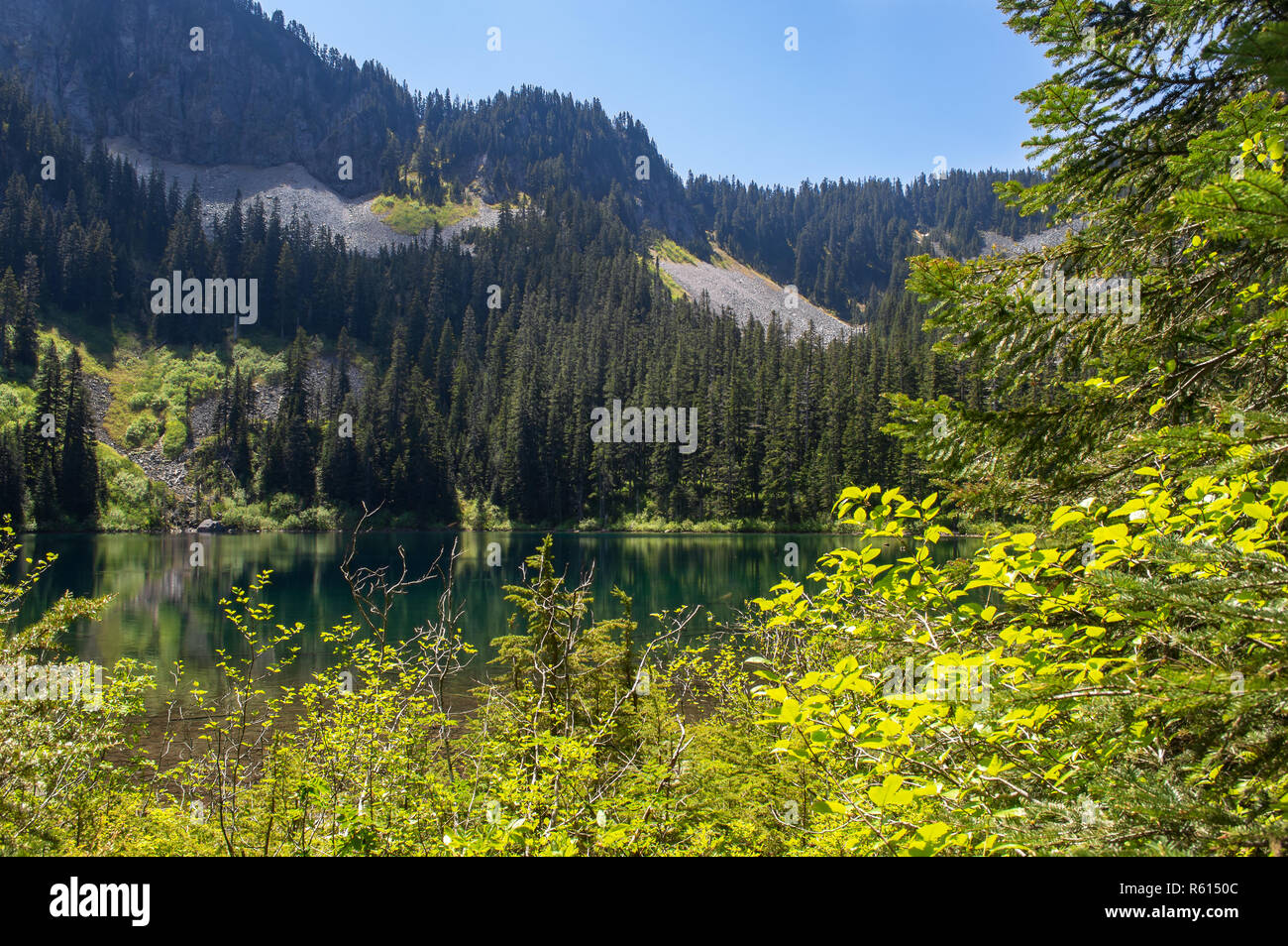 Annette lake trail hi-res stock photography and images - Alamy