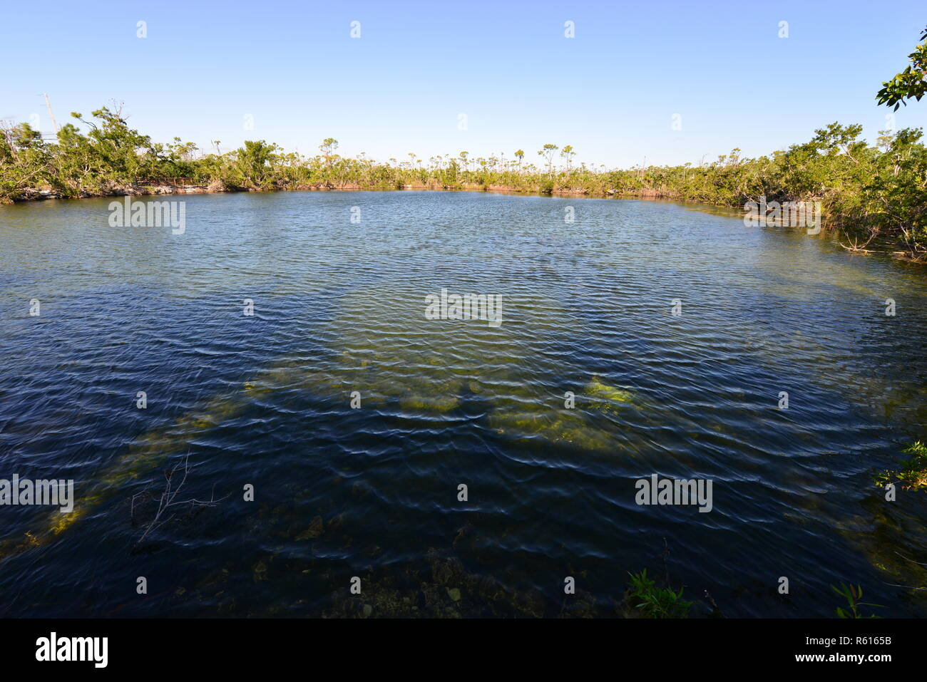 A lake in the Florida Keys, America Stock Photo - Alamy