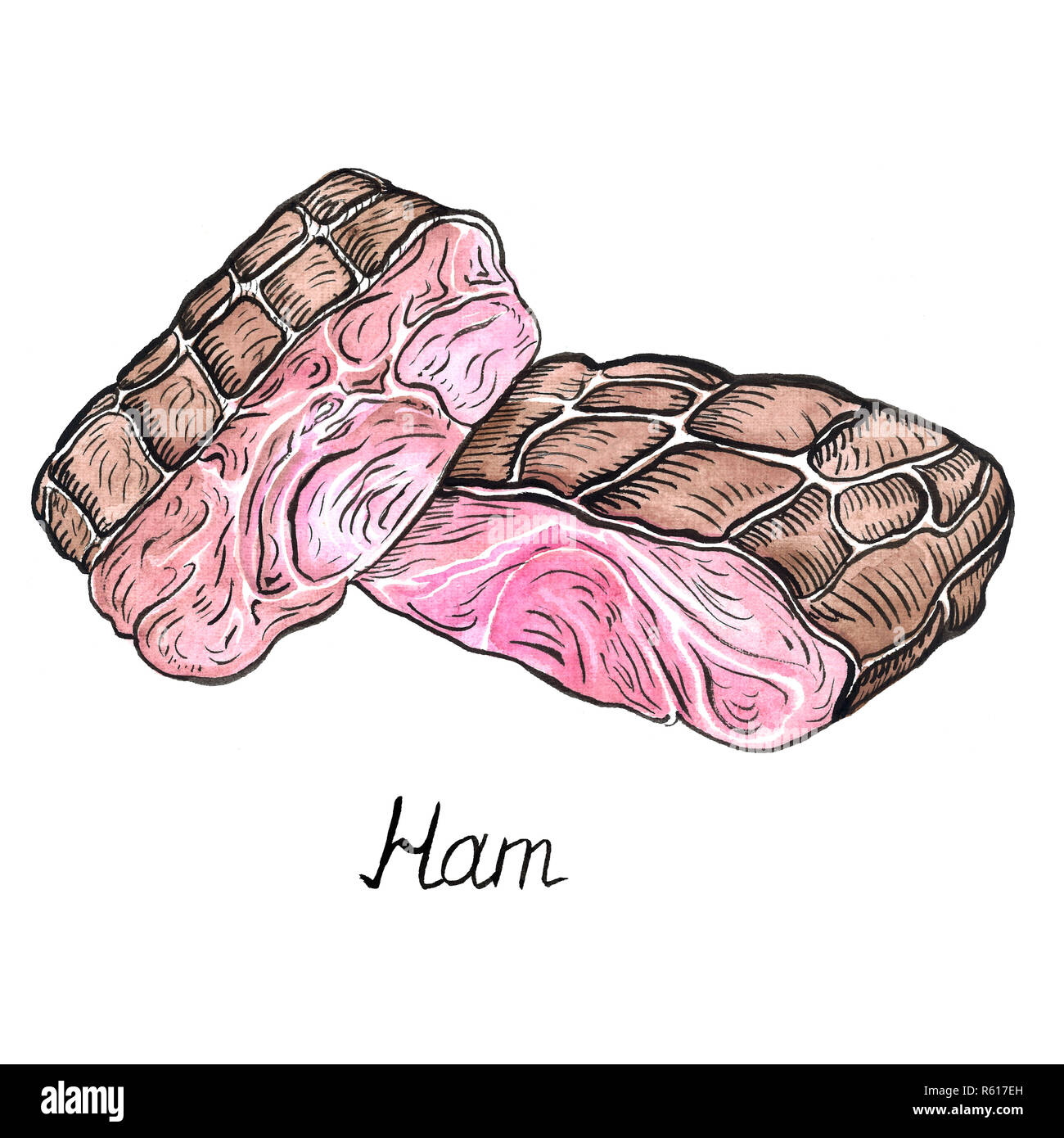 Ham, hand painted illustration, watercolor and ink outline Stock Photo ...