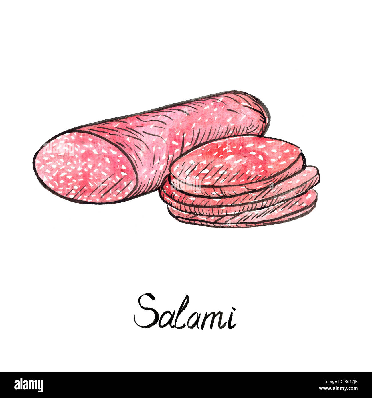 Salami and cut slices, hand painted illustration, watercolor and ink ...