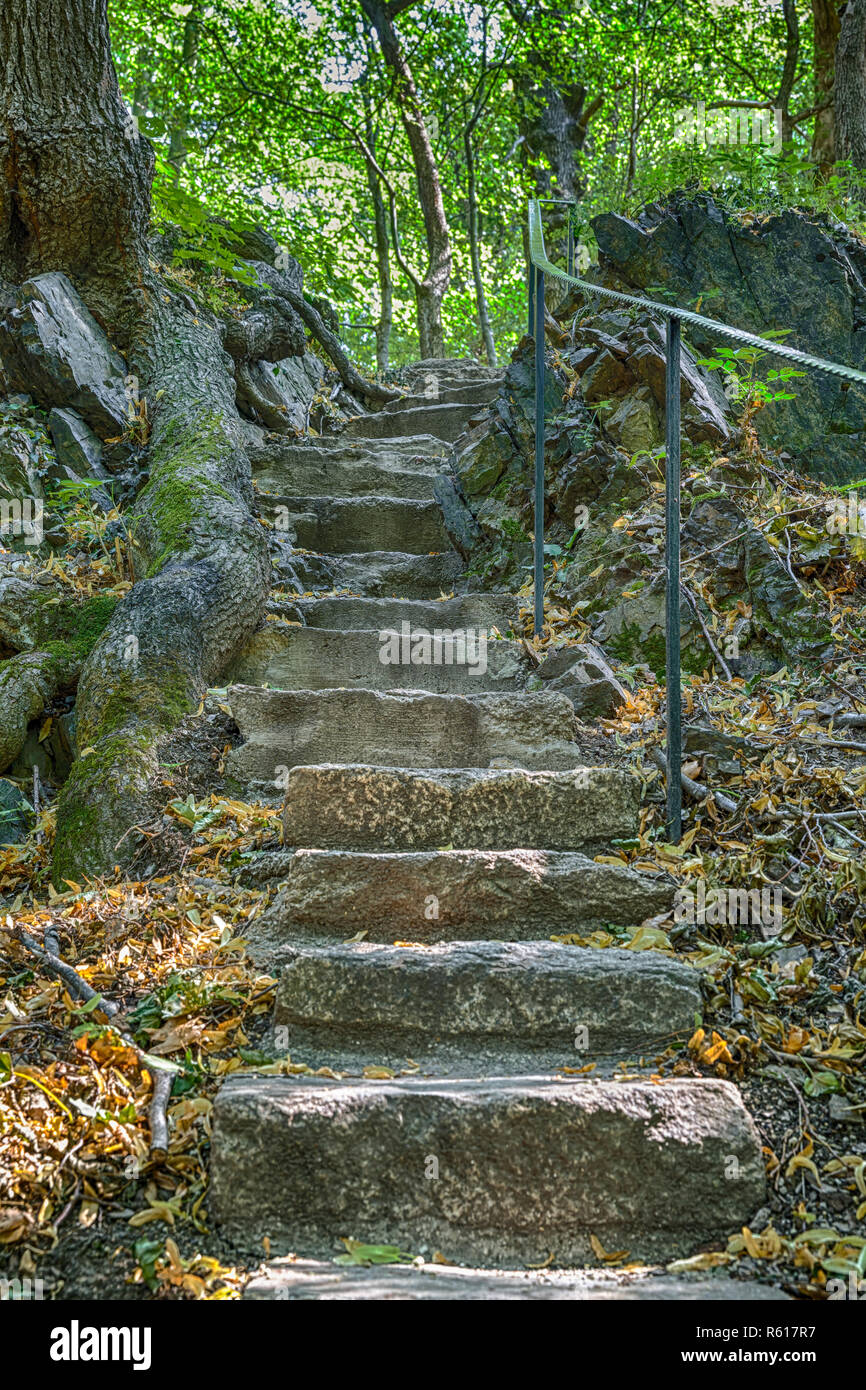 Burgruine lauenburg hi-res stock photography and images - Alamy