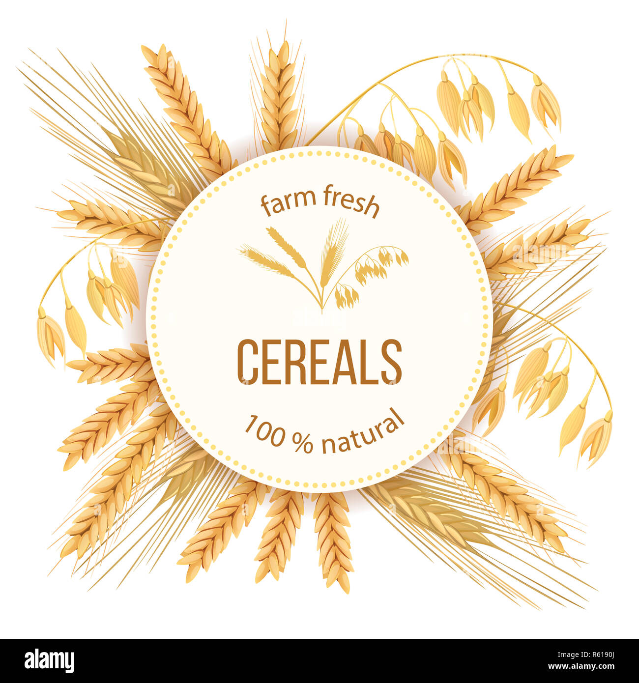 Wheat, barley, oat and rye. Four cereals grains and ears. Round label ...