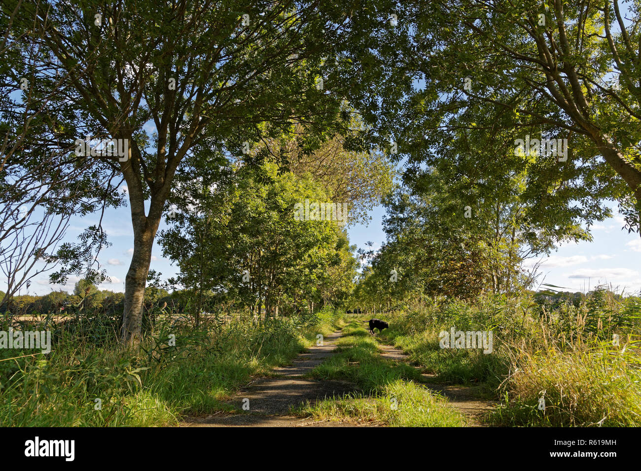 Avenue route hi-res stock photography and images - Alamy