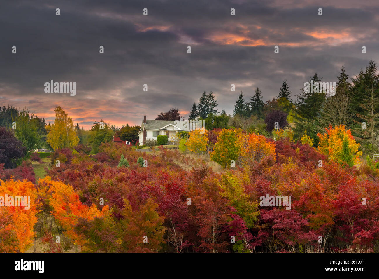 Sunset Sky over Farm House in Rural Oregon Stock Photo - Alamy