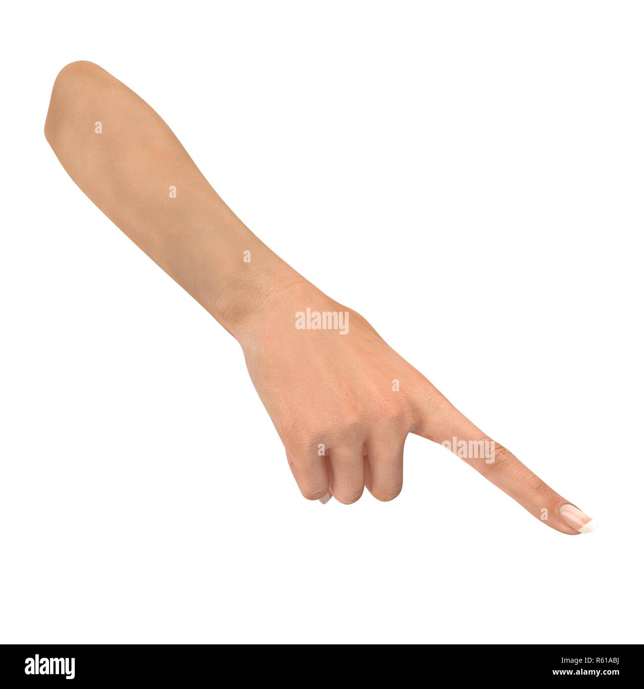 Female Hand finger point on white background. 3D illustration Stock ...