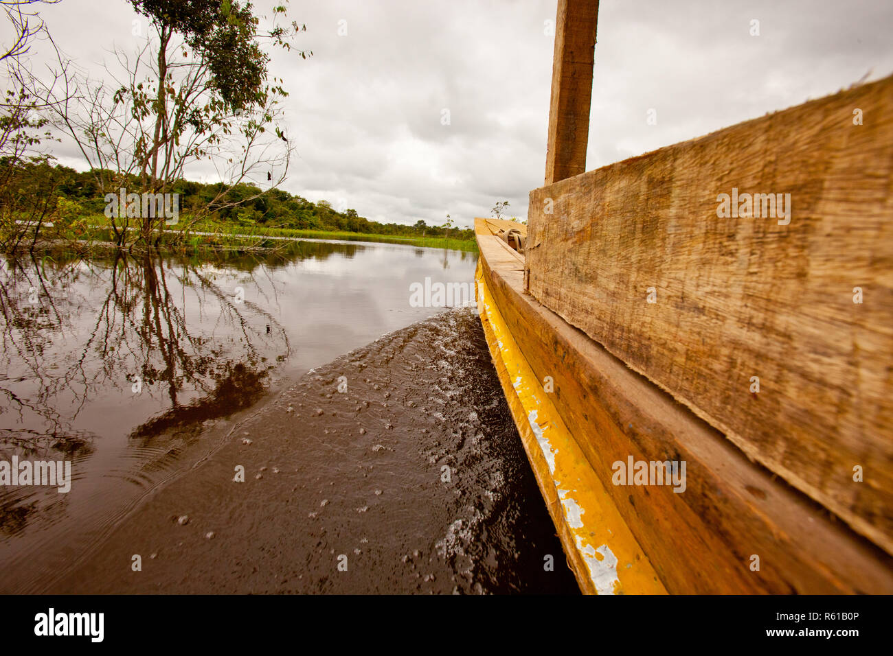 Pirogue view of Amazon river Stock Photo - Alamy