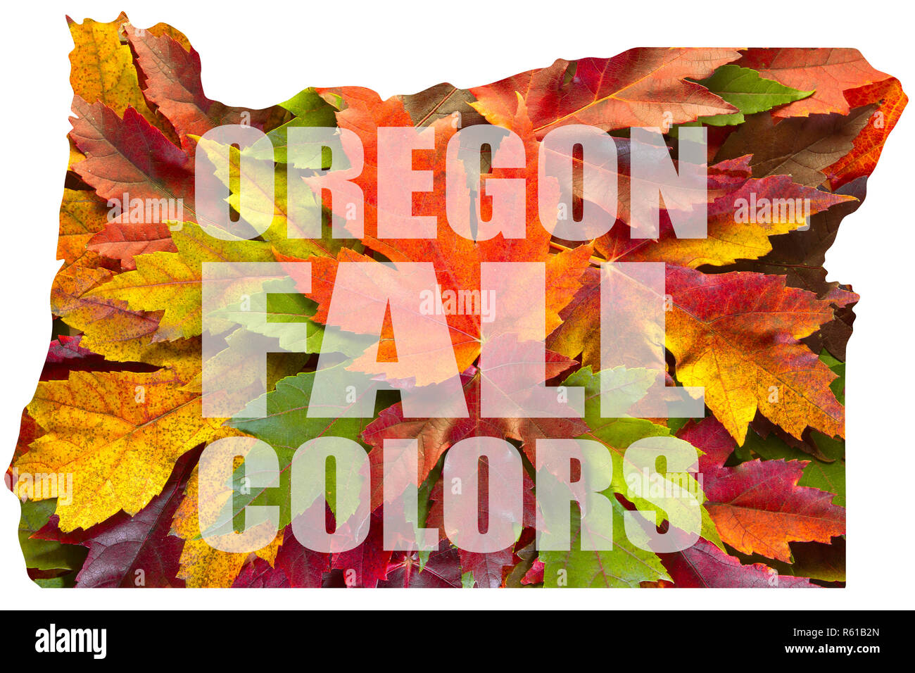 Fall colors map Cut Out Stock Images & Pictures - Alamy