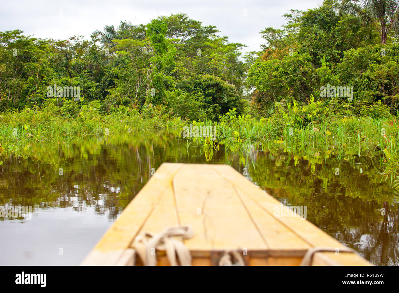 Pirogue view of Amazon river Stock Photo - Alamy