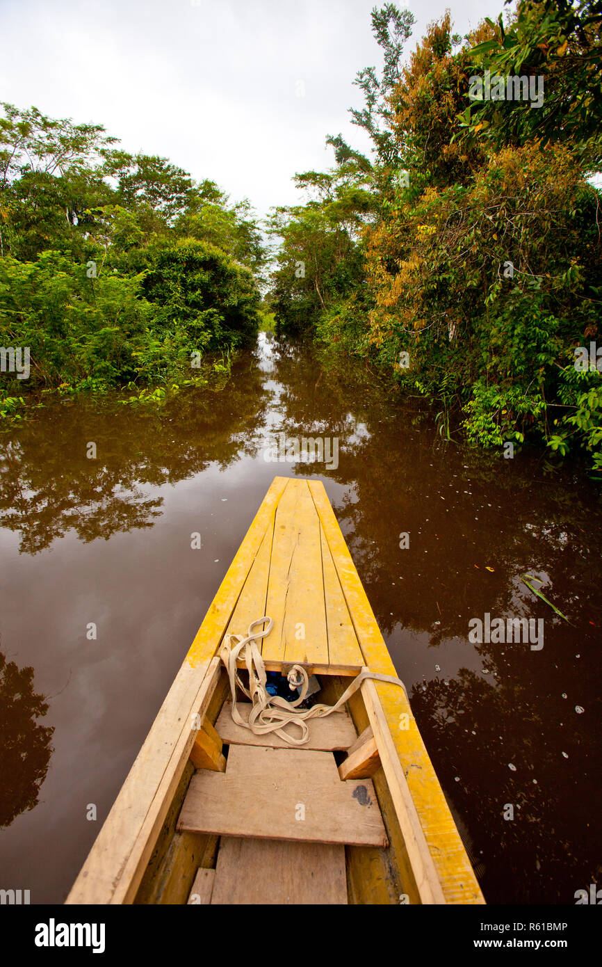 Pirogue view of Amazon river Stock Photo - Alamy