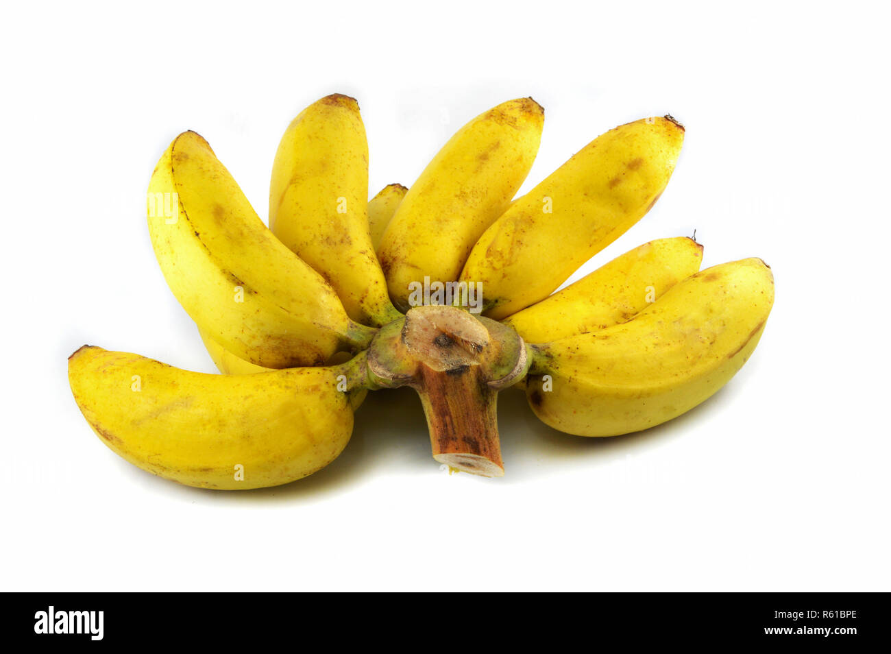 ripe banana comb isolated on white background / fresh cultivated banana ...