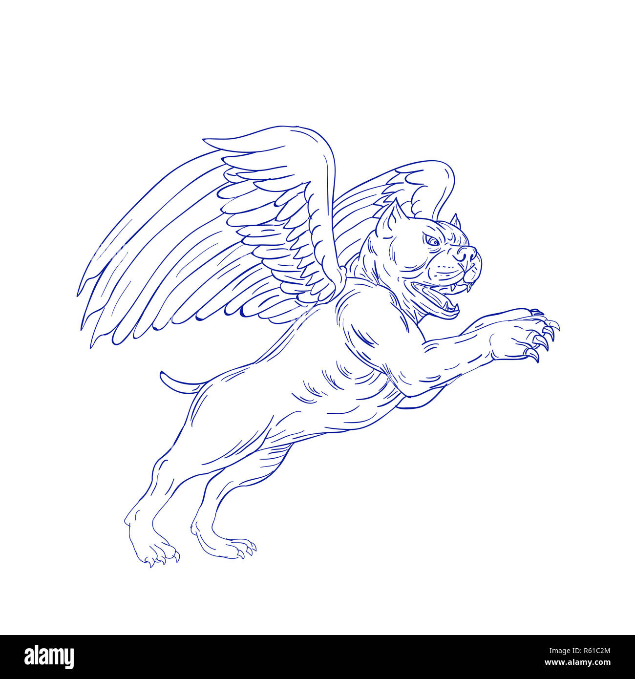 Scratch wing Cut Out Stock Images & Pictures - Alamy