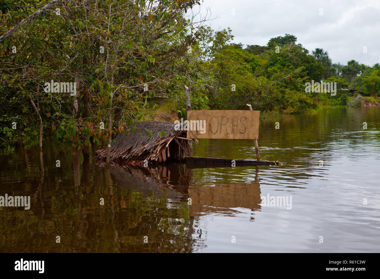 Amazon moment ,Iquitos,Peru Stock Photo - Alamy