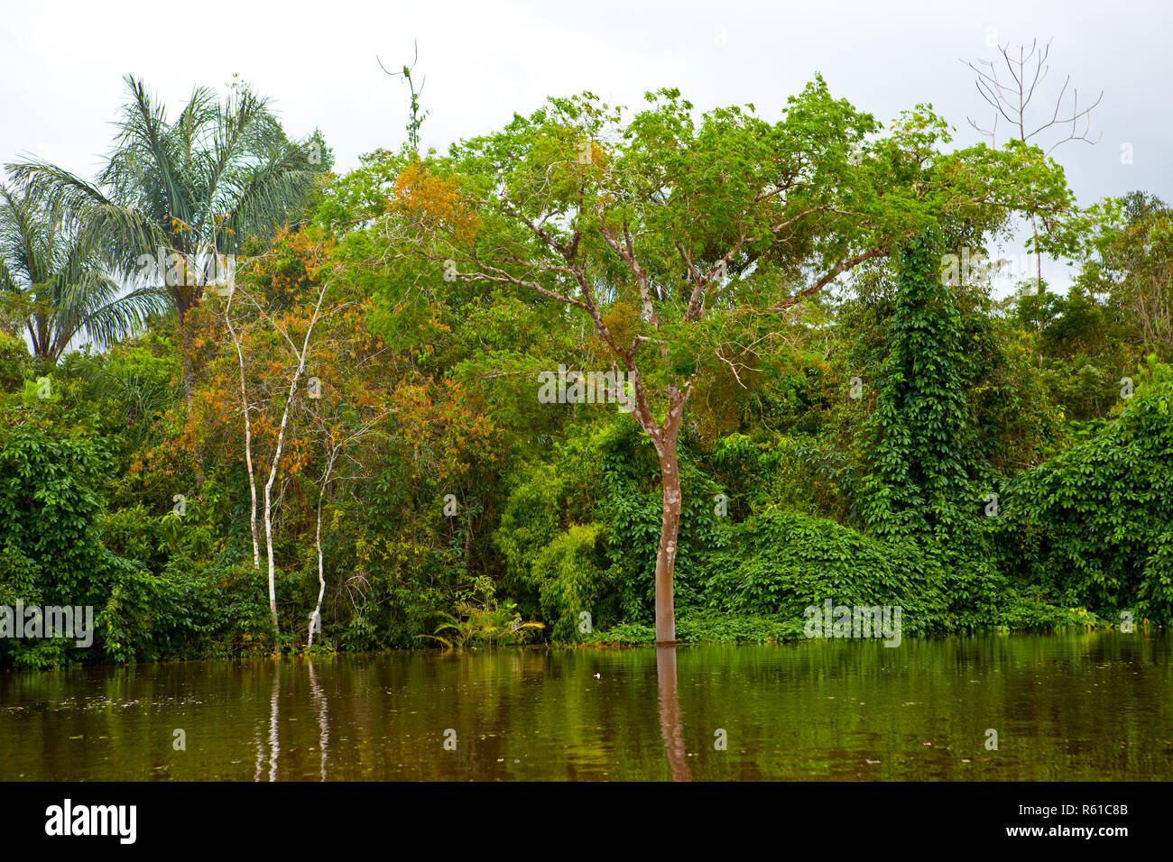 Traditional amazon riverboat hi-res stock photography and images - Alamy