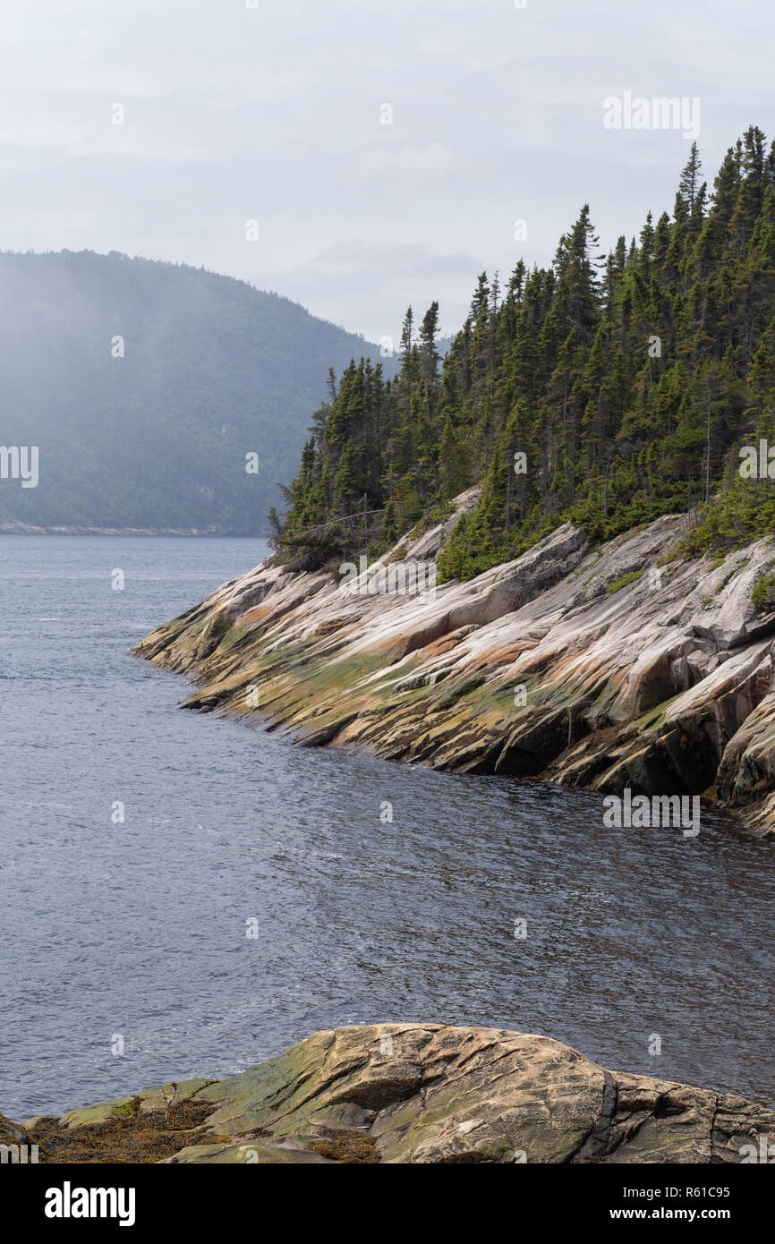 Coastal treeline hi-res stock photography and images - Alamy
