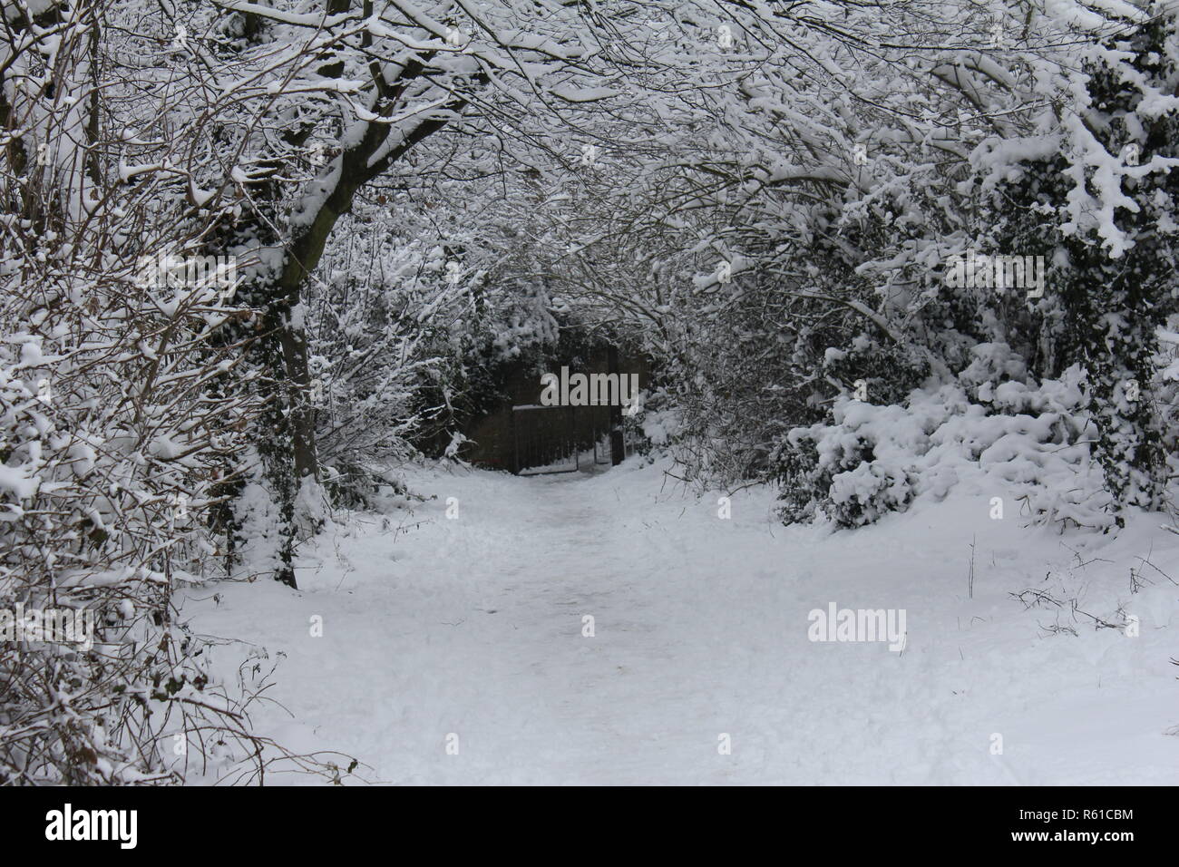 Snow in Kent Stock Photo - Alamy