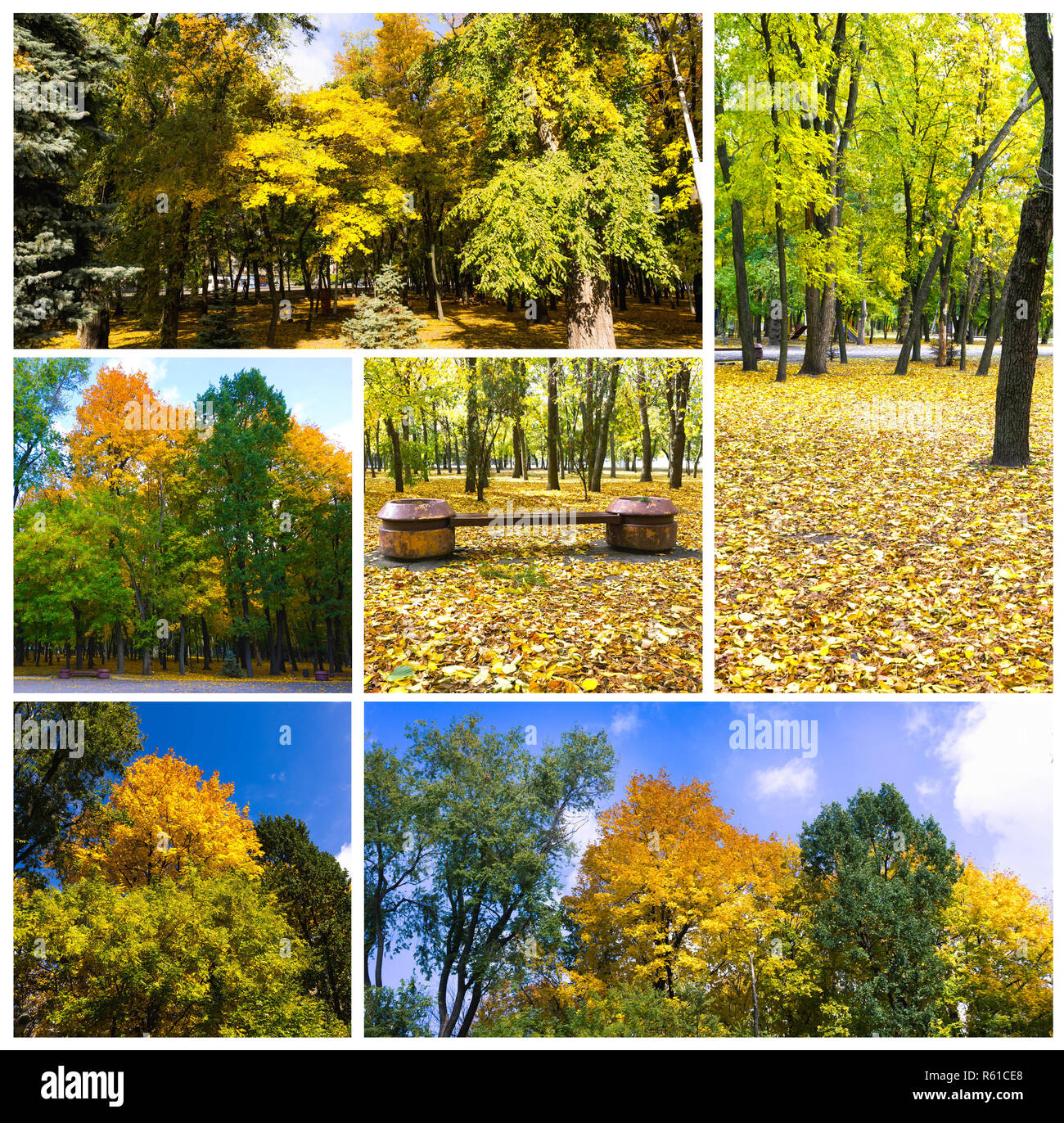 Autumn collage - Collection of autumn photos Stock Photo - Alamy