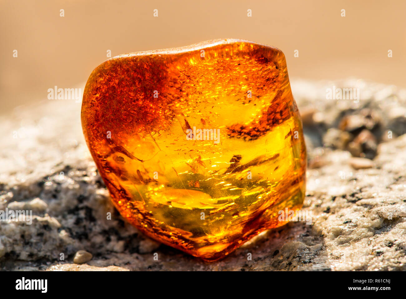 amber on the baltic sea beach Stock Photo - Alamy