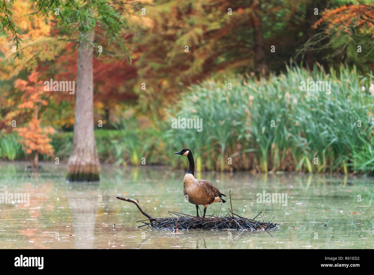 Sun rise in Oktober Stock Photo - Alamy
