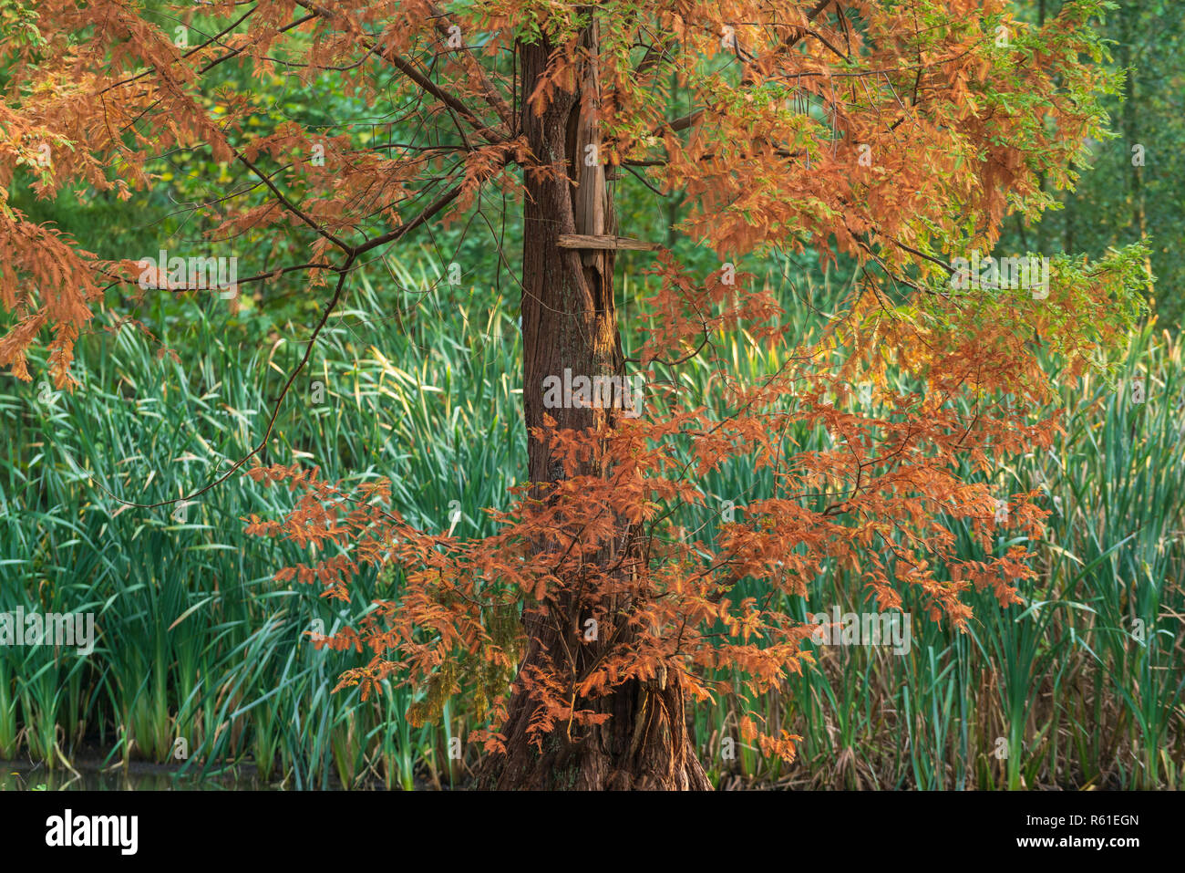 Sun rise in Oktober Stock Photo - Alamy