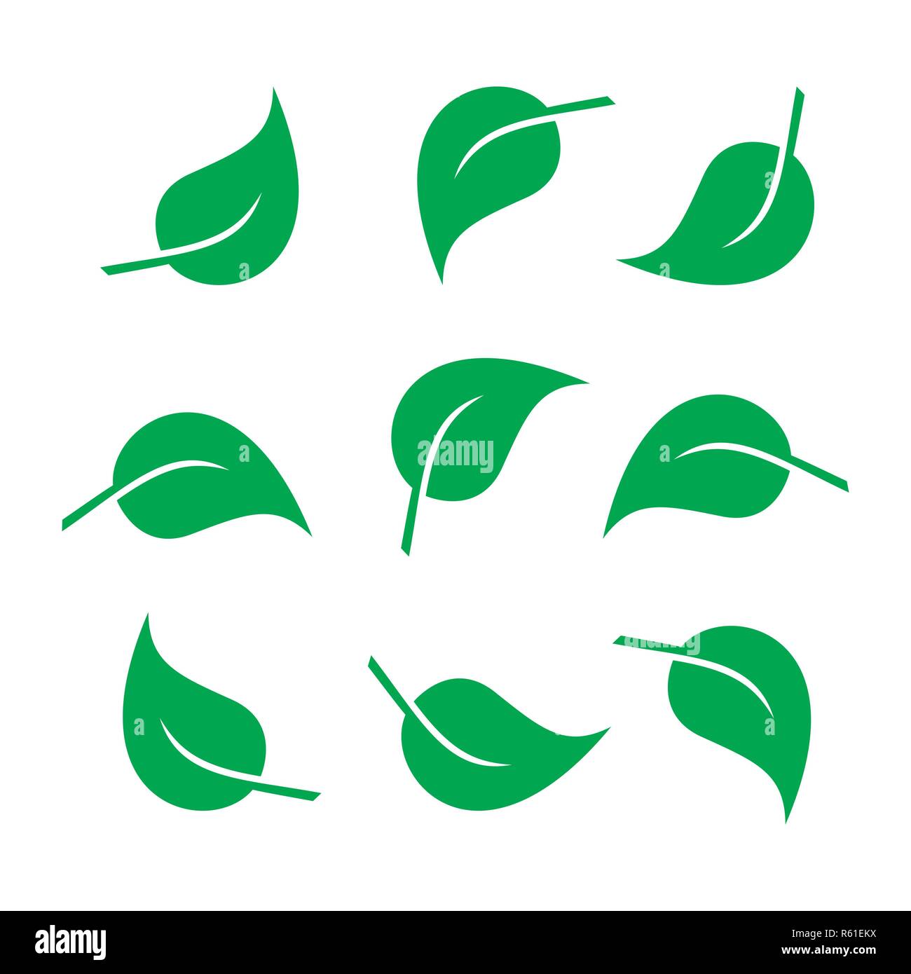 Leaves icon vector set. vector and illustration Stock Vector Image ...