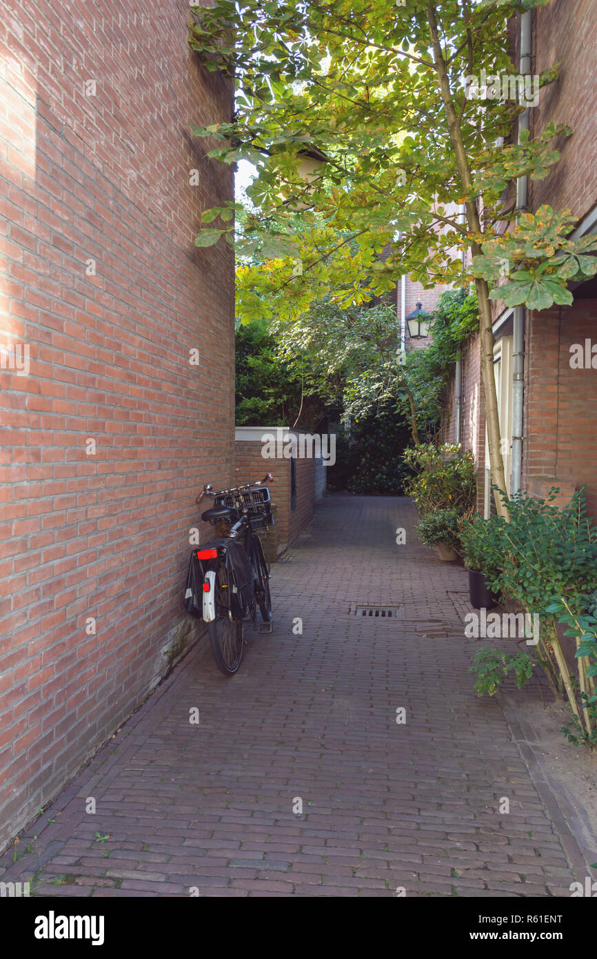 Dutch house garden backyard hi-res stock photography and images - Alamy