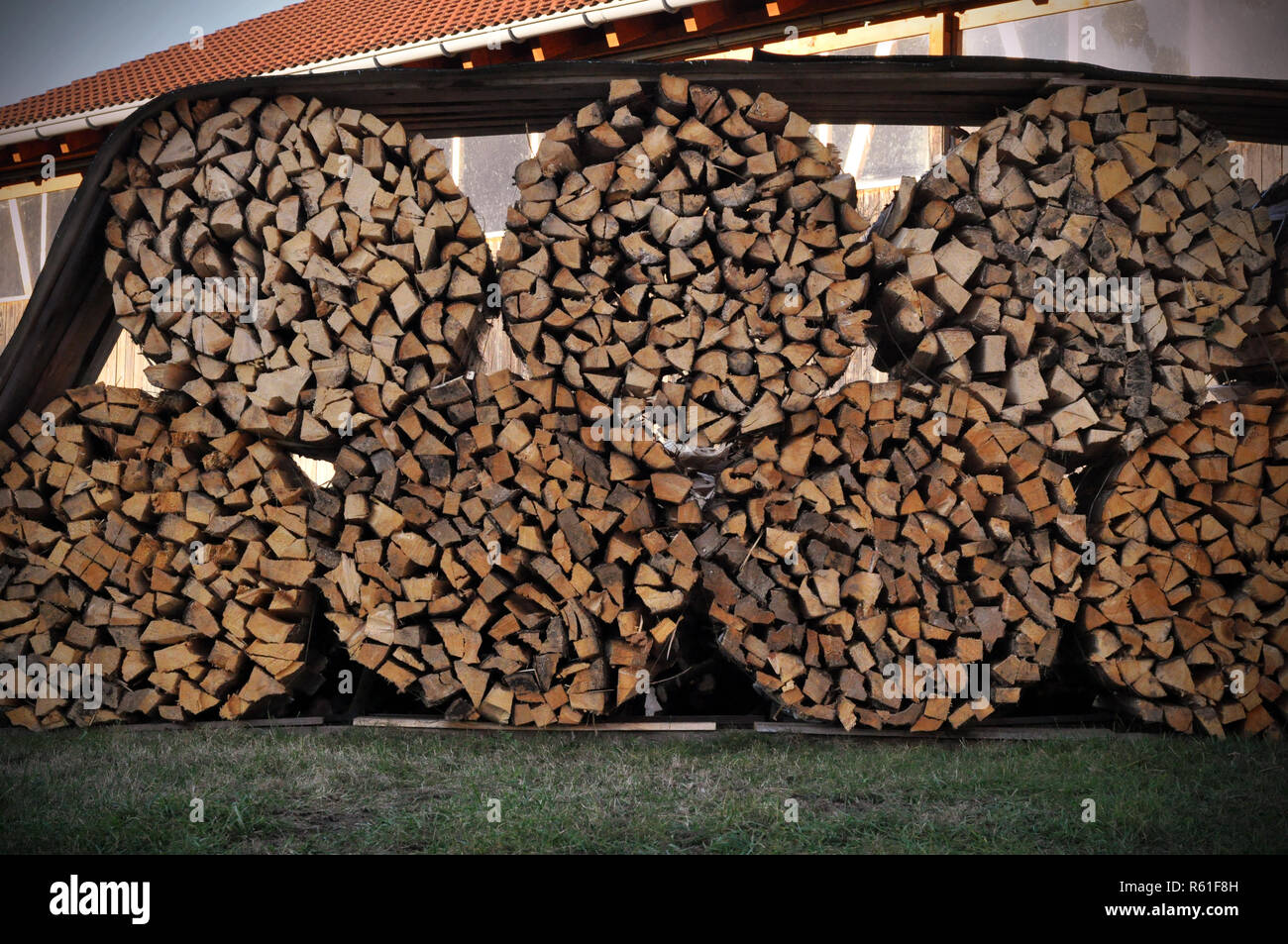 Wood round timber in a pile Stock Photo - Alamy
