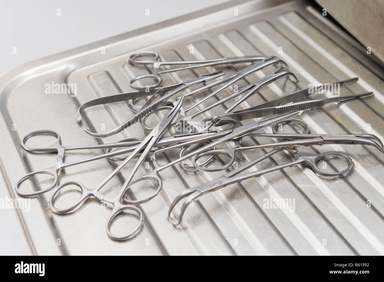 A set of tools for carrying out operations on animals, castration ...