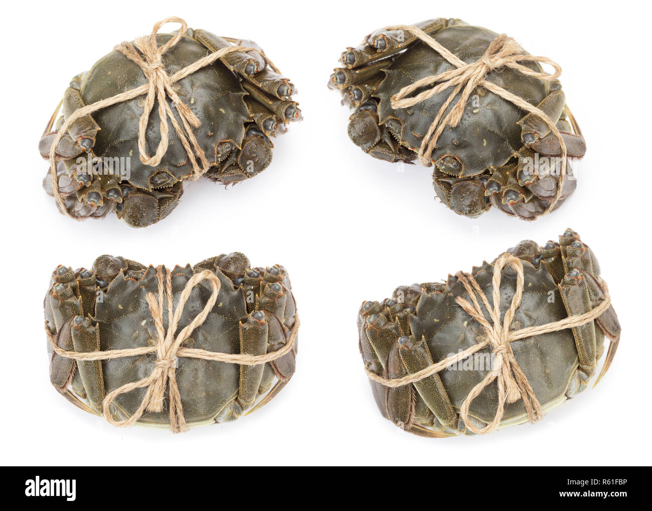 A Set of Perfect Crab isolated on white background Stock Photo - Alamy