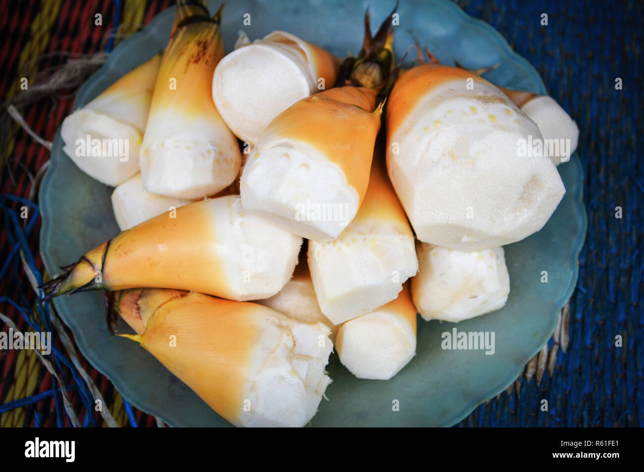 fresh bamboo shoot from bamboo forest on plate for cook food Stock ...