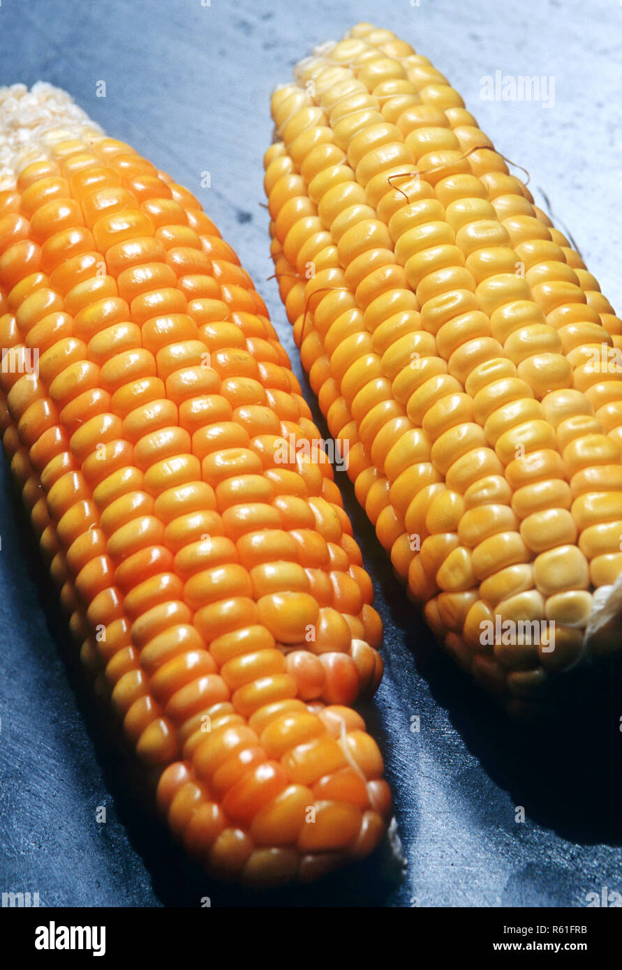 Corn economy hi-res stock photography and images - Alamy