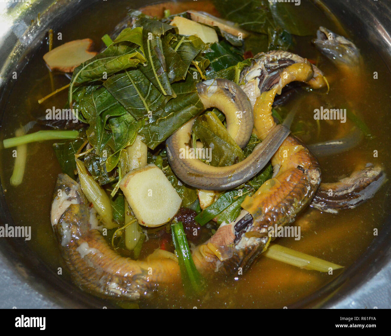 cook eel food / curry soup eel fish long thai style food Stock Photo ...