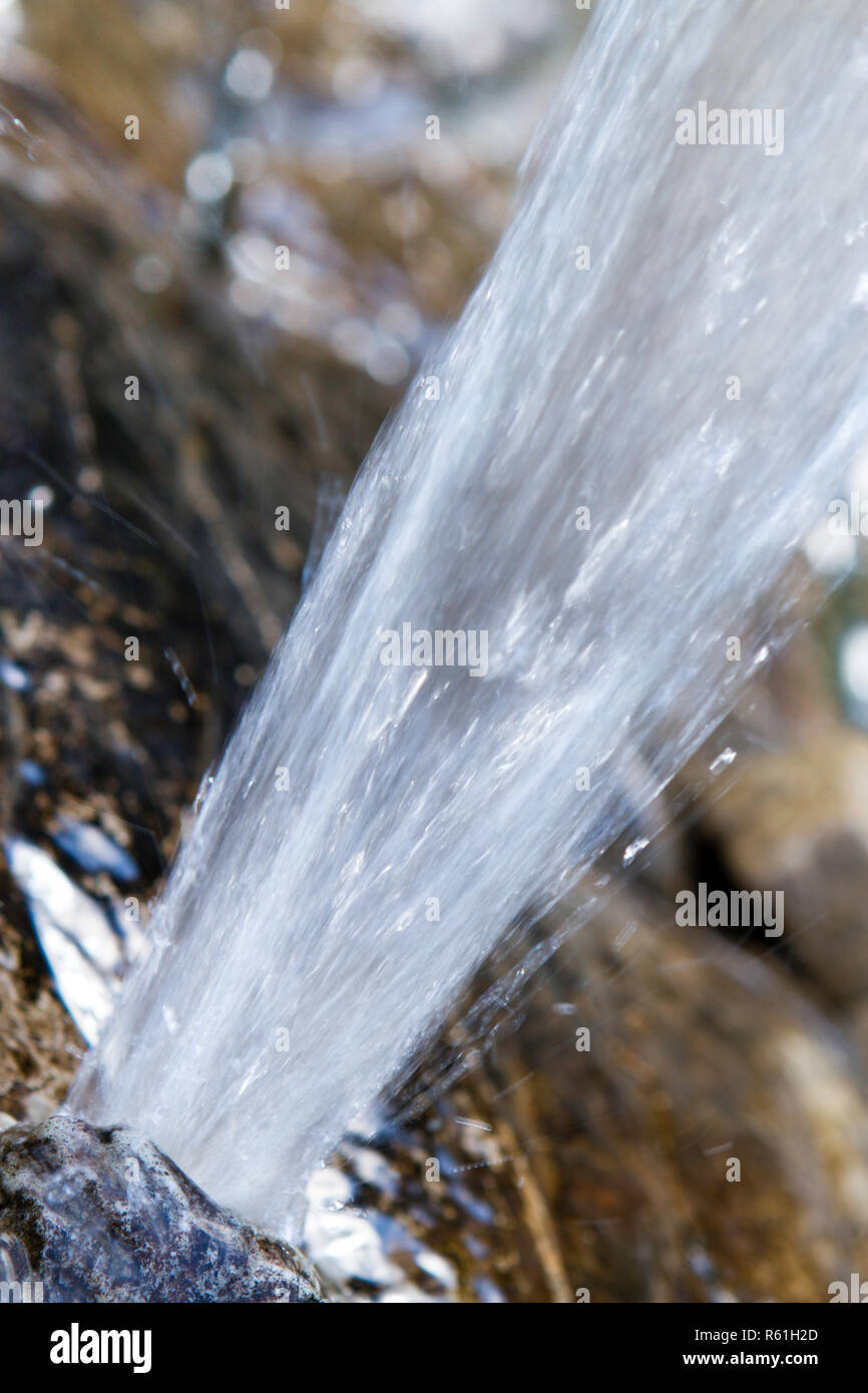 water jet against a background of rock. fresh,clean water Stock Photo ...