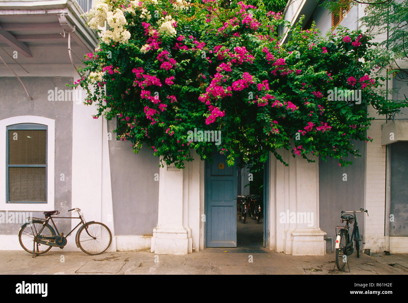 bicycles parked in front of main entry gate of old house in pondicherry ...
