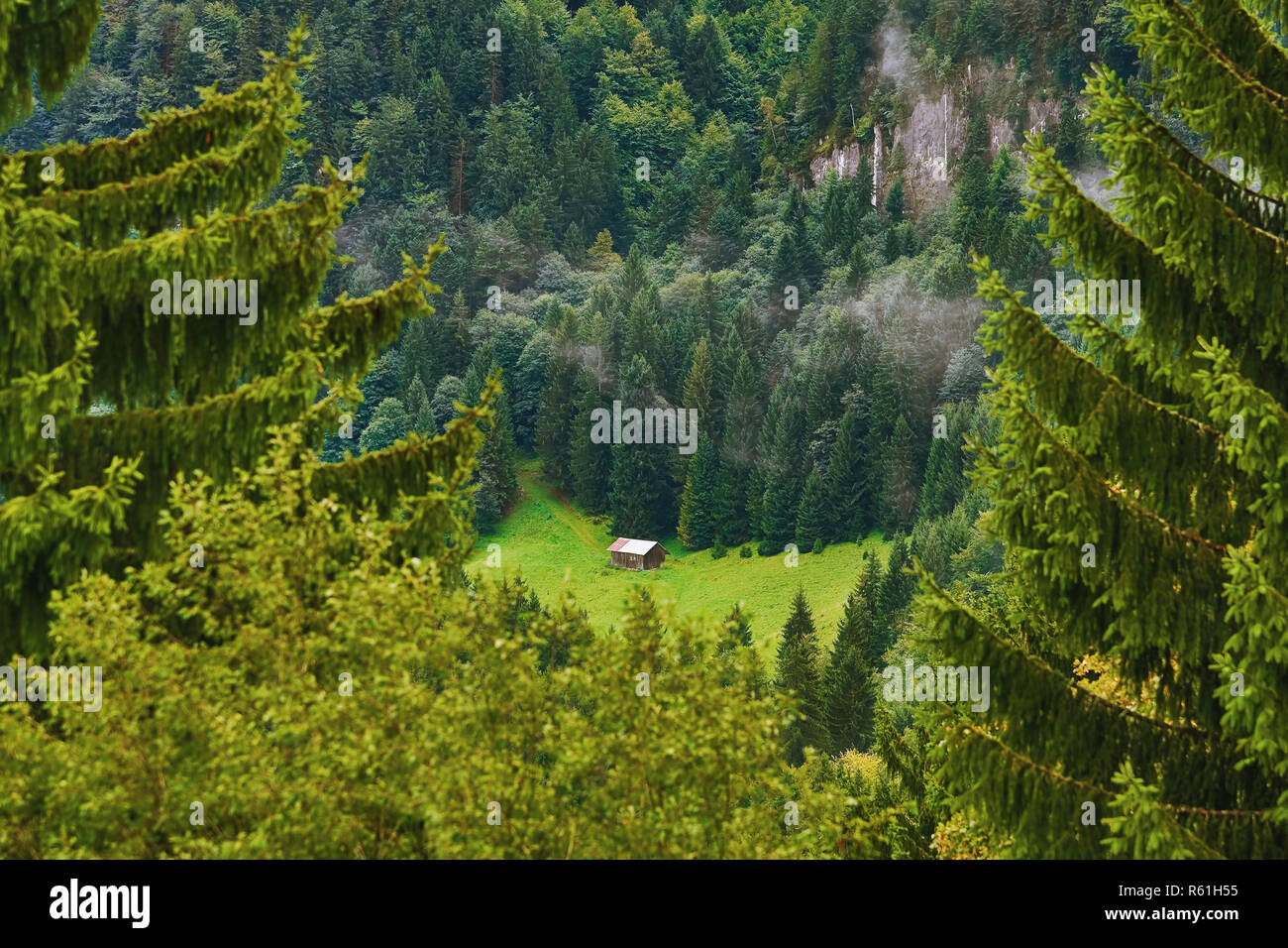 Barn in the Forest Stock Photo - Alamy
