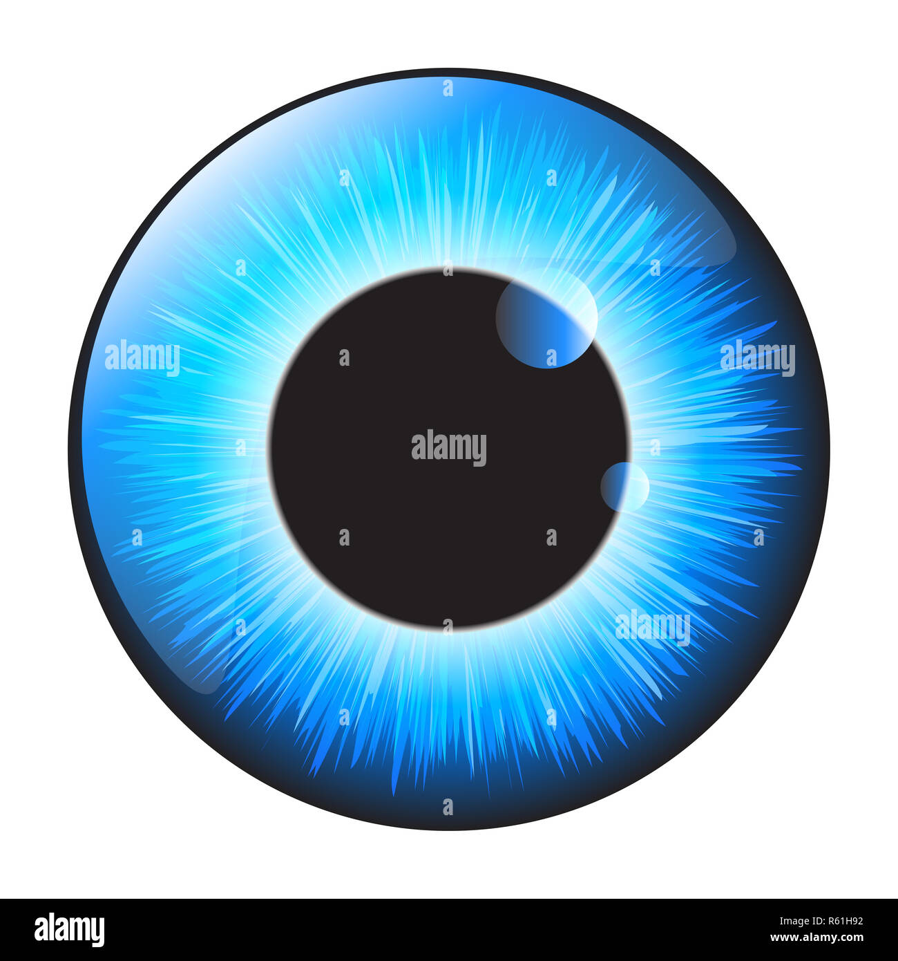 Blue Iris Eye Stock Photos & Blue Iris Eye Stock Images - Alamy