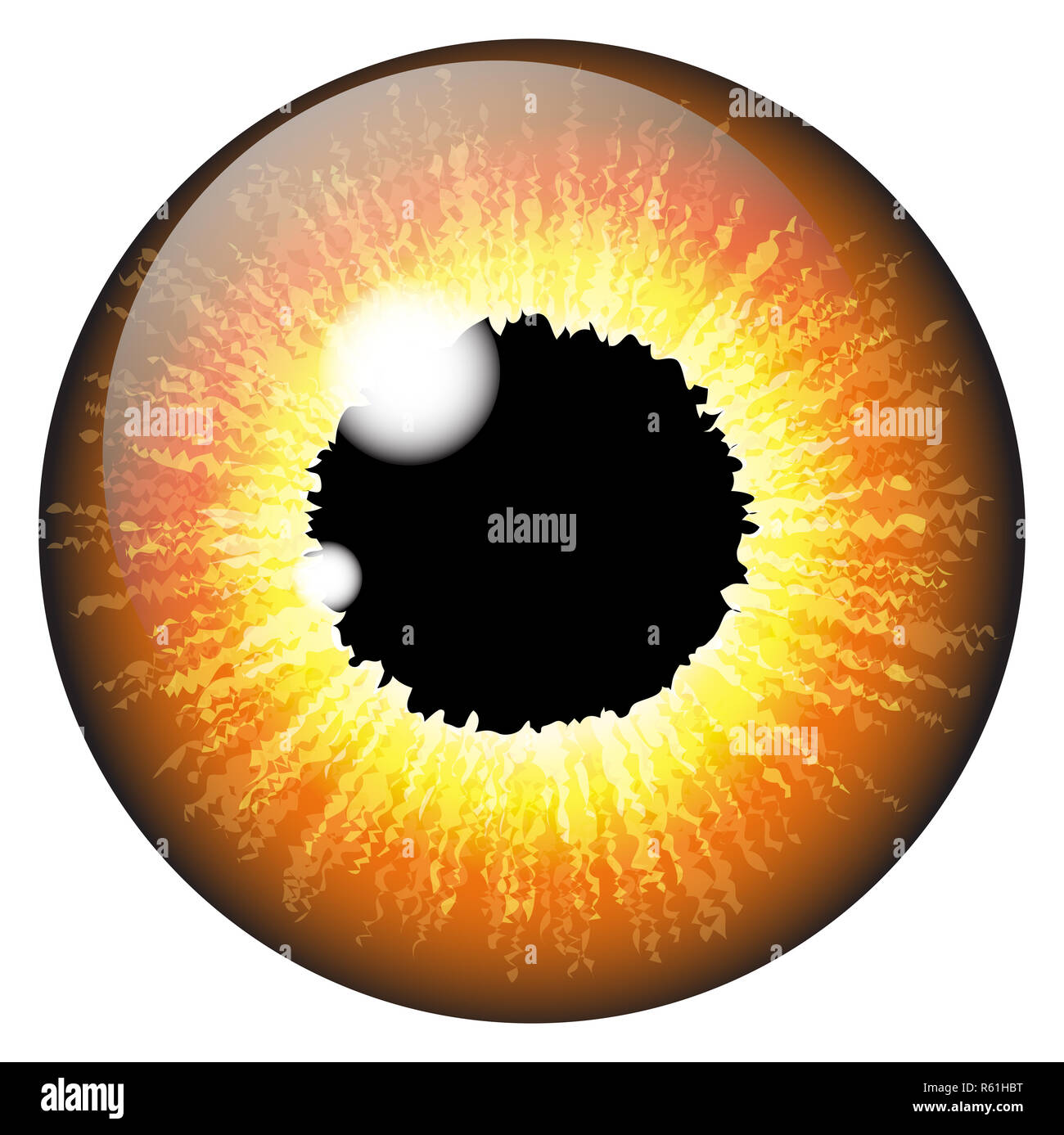 Orange, hazel iris eye realistic vector set design isolated on white ...