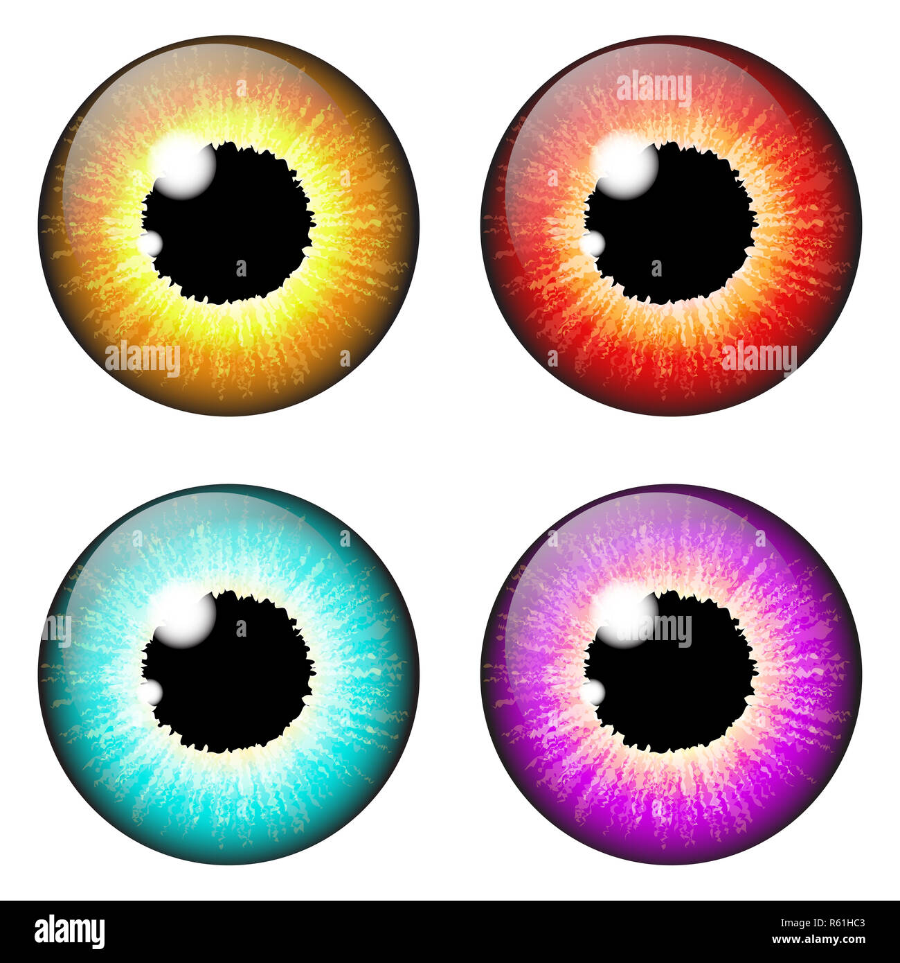 iris eye realistic vector set design isolated on white background Stock ...