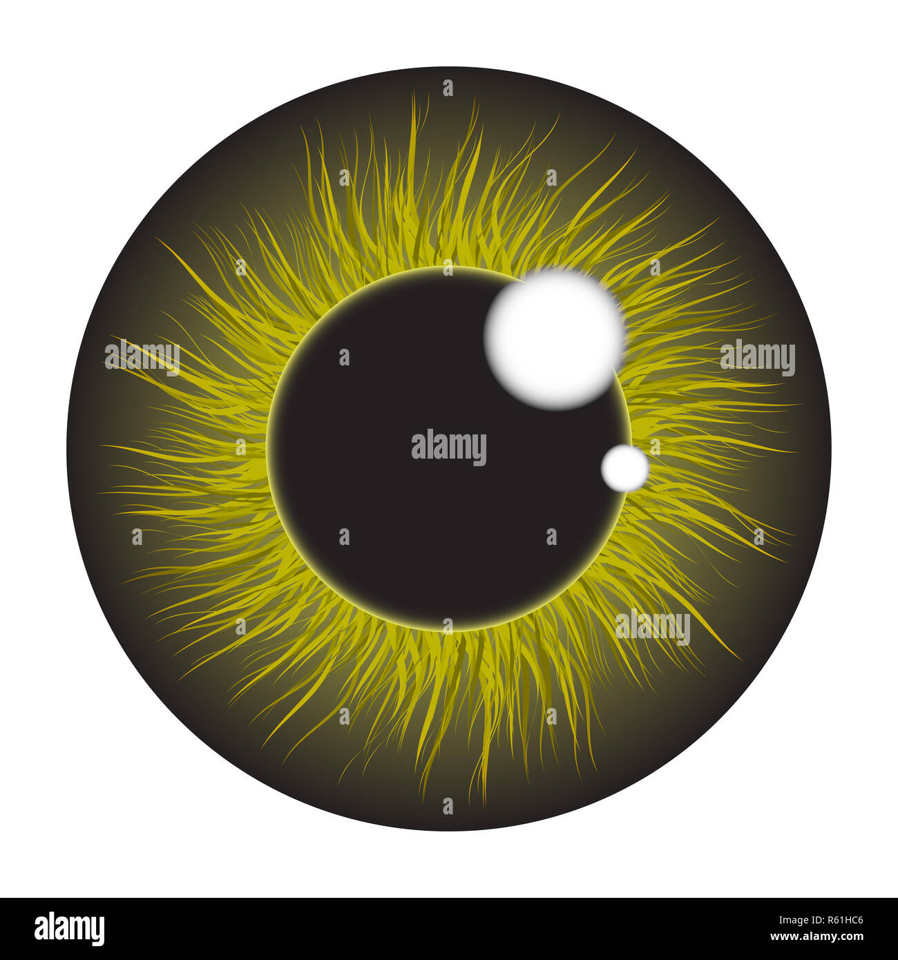 green iris eye realistic vector set design isolated on white background ...